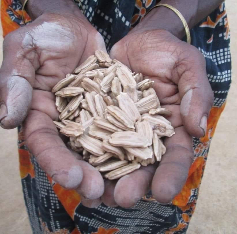 Gallery - PRAS Bangladesh